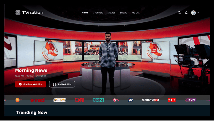 Electronic Programming Guide (EPG): All You Should Know About Design and Development of EGP